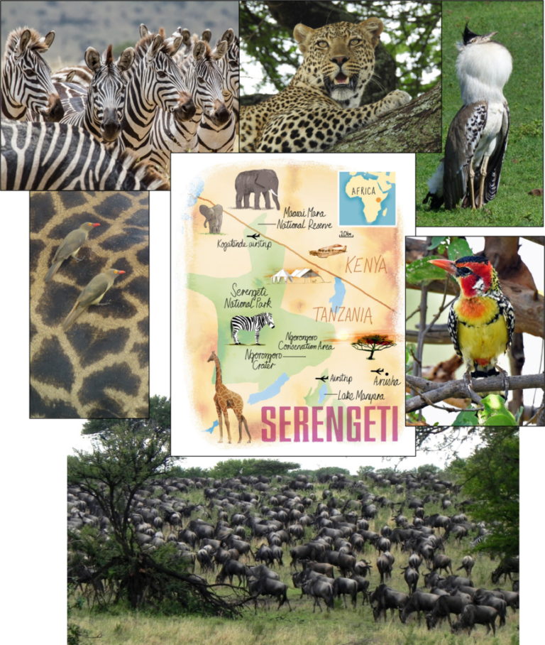 The Serengeti: Mega-Migration and Super Diversity - EarthShare Texas