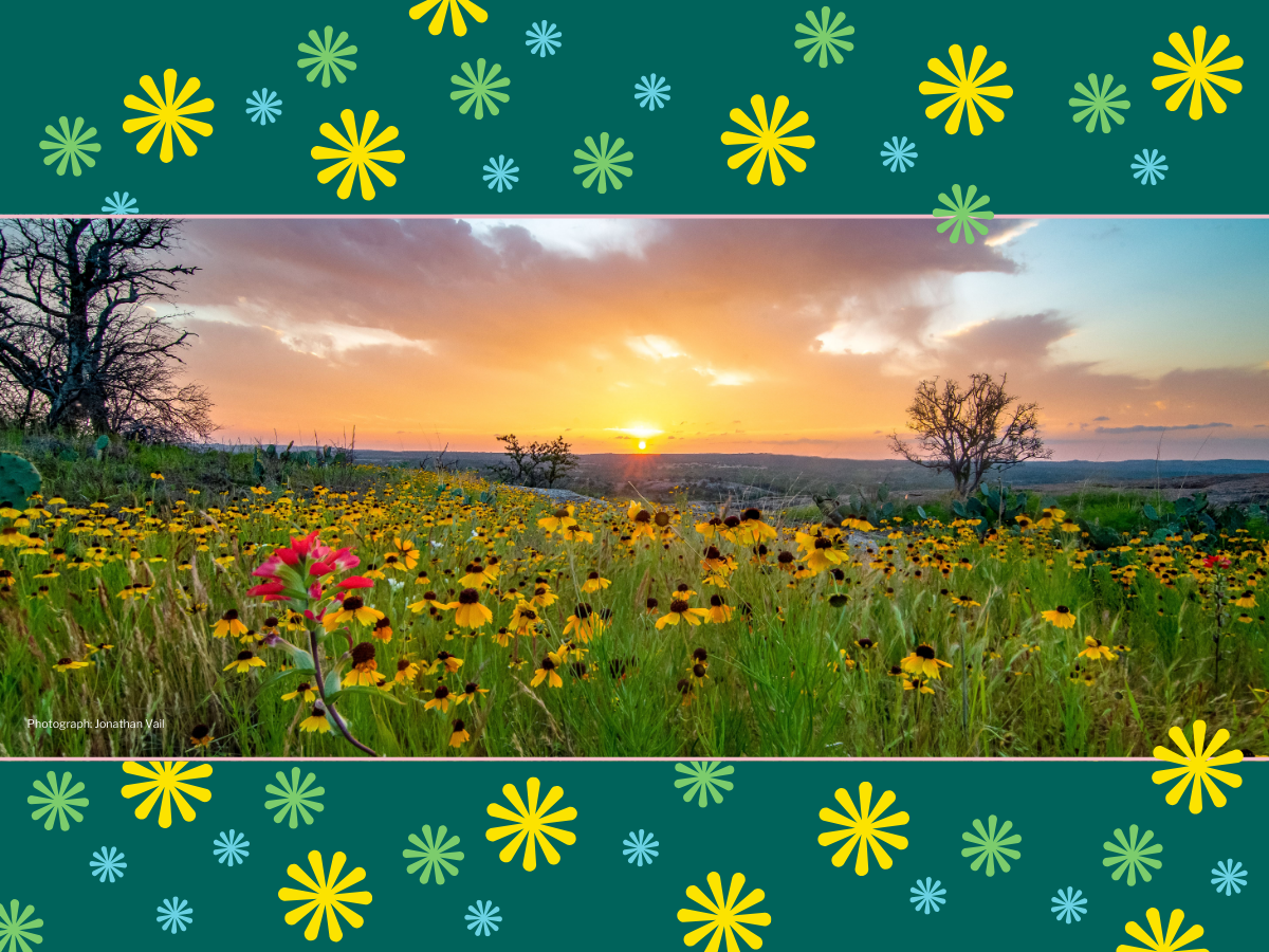 A Powerful End to 2025 - EarthShare Texas